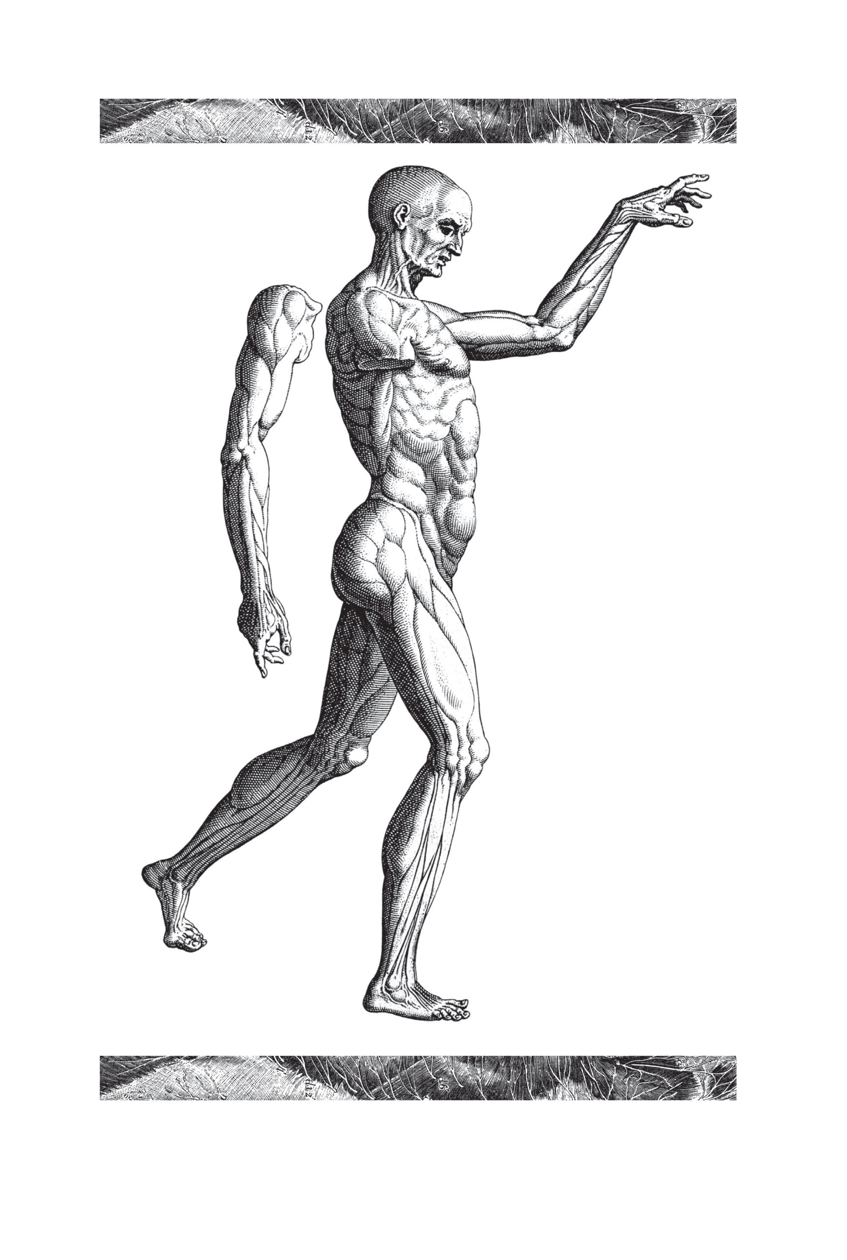 Make it a Datloween by celebrating BODY SHOCKS with the award-winning ...